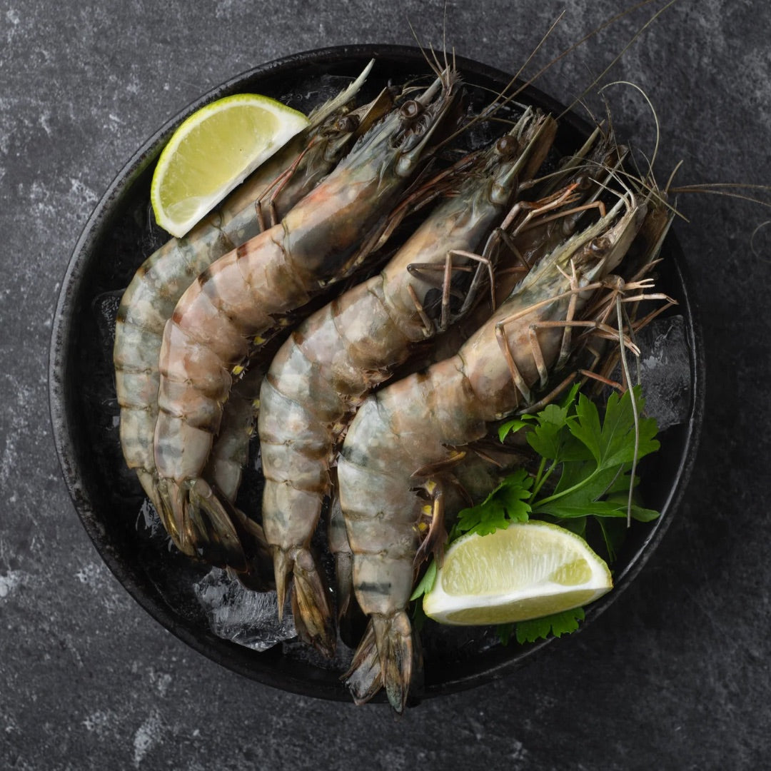 Jumbo Black Tiger Whole Prawns | Northern Waters Marine Limited